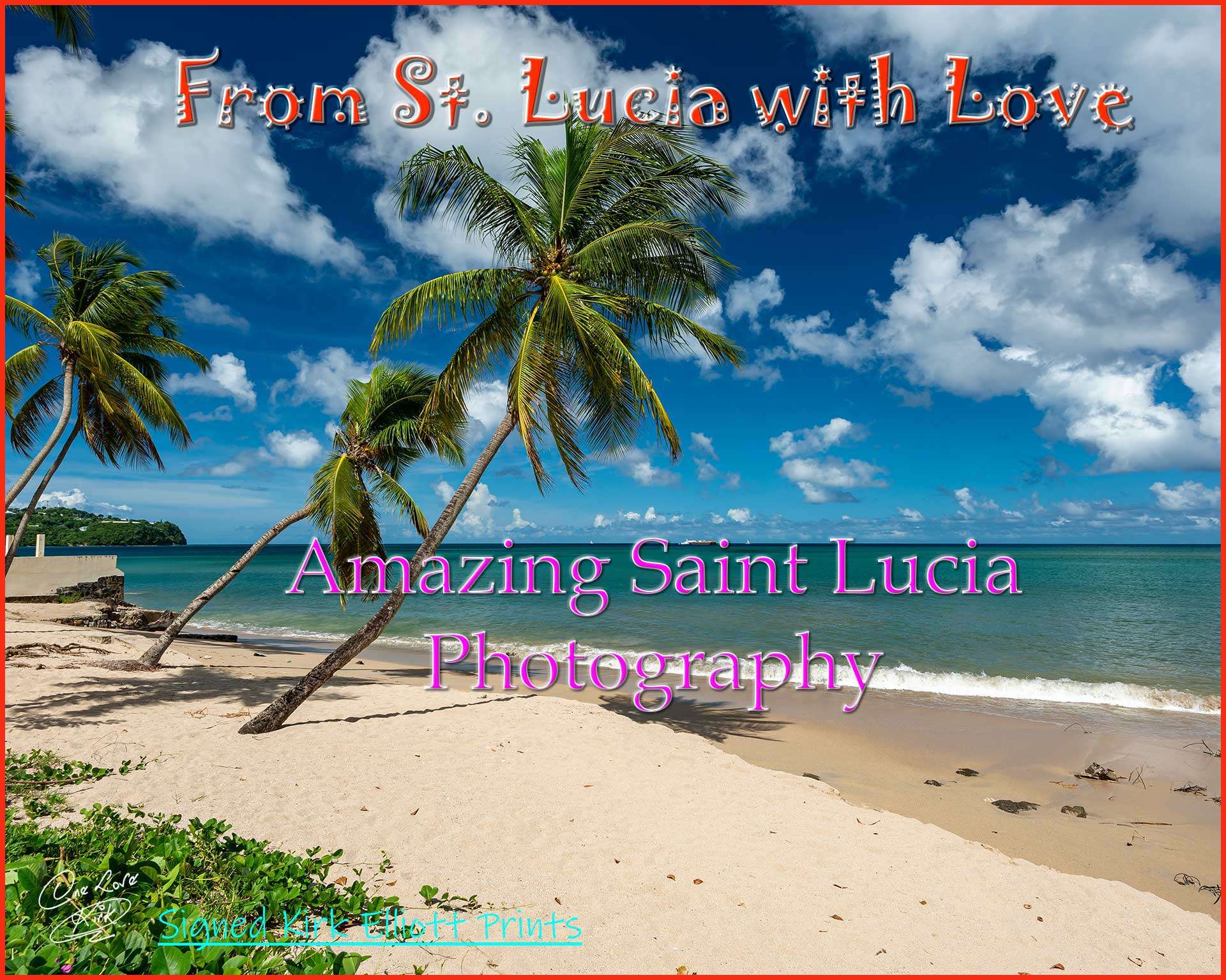 Beach Palms ~ St. Lucia - Tropical Beach Scene - Orange Mango Getaways